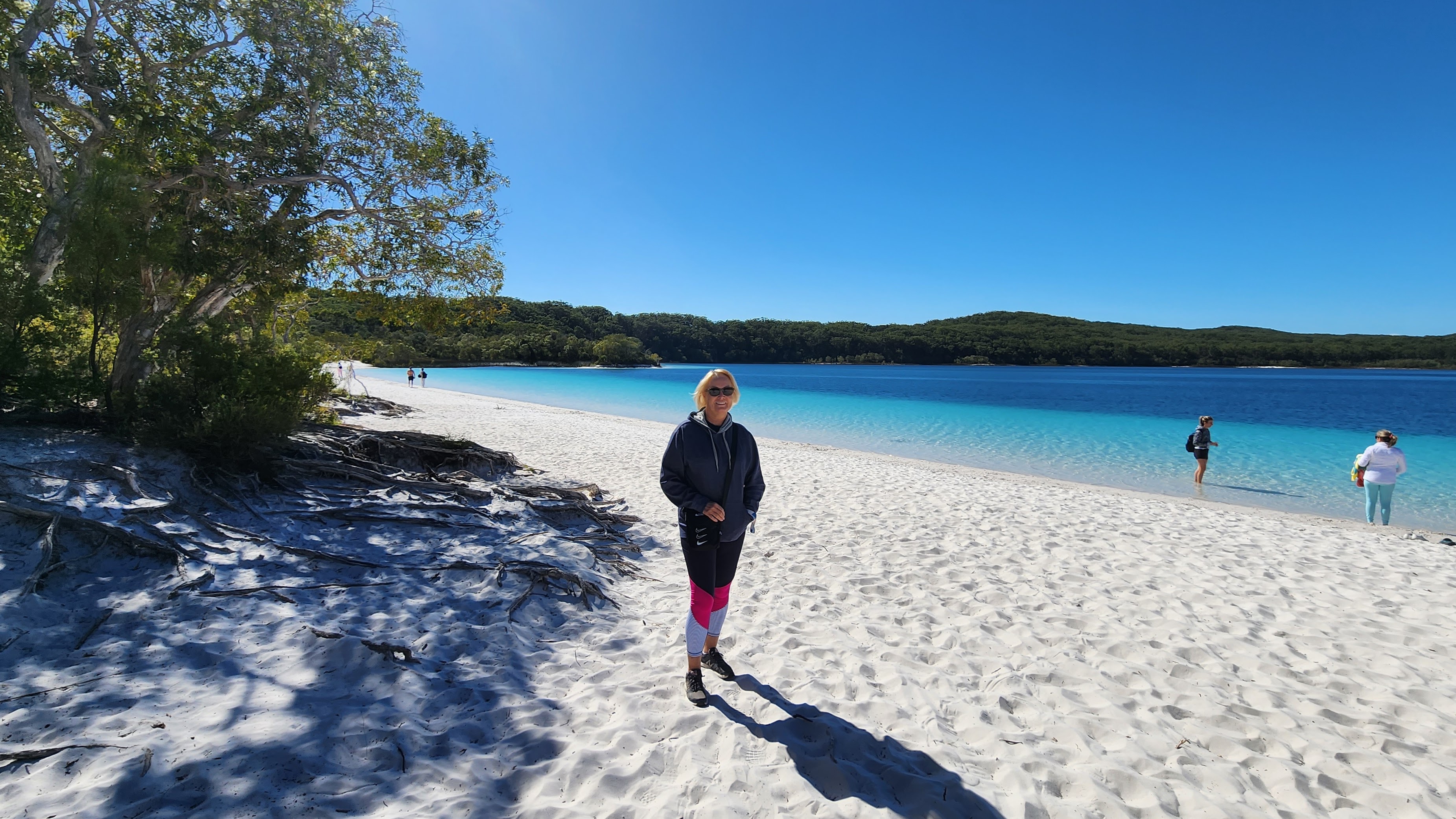 Visit Fraser Island, (K’Gari), Australia, the world’s largest sand ...