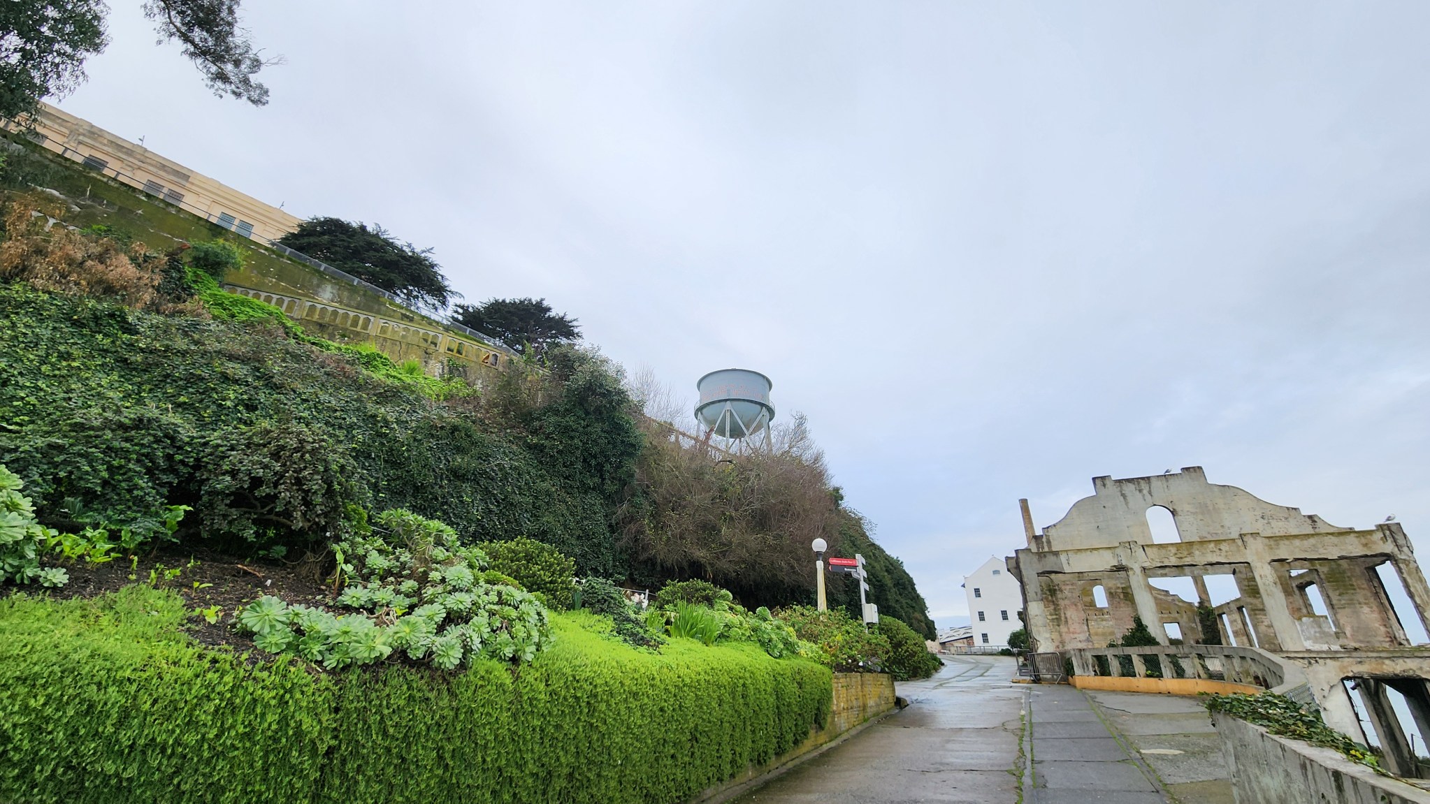 Exploring Alcatraz Island: History, Prison Cells, and Gardens – Trandy ...