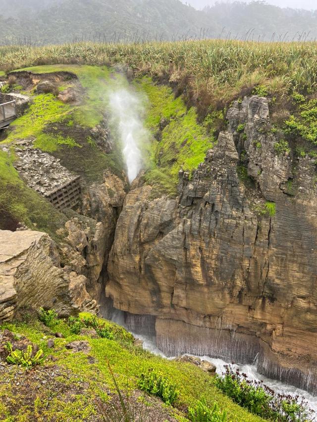 The Pancake Rocks in Punakaiki, a quick stop on our New Zealand ...